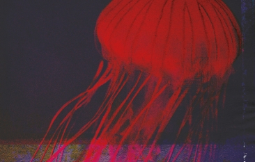 Postnormal Times website | Effusion